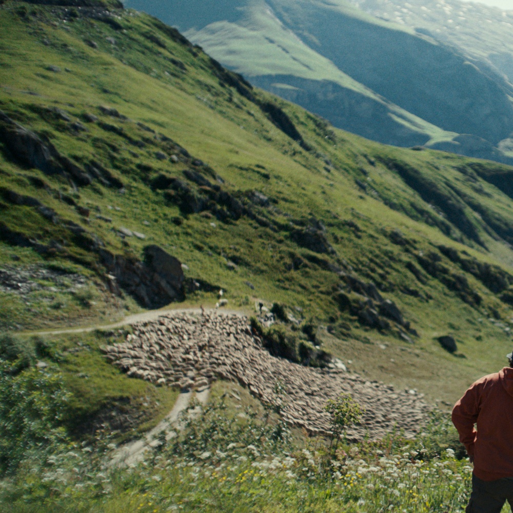 BERGERS (2024) - Film - Cinoche.com